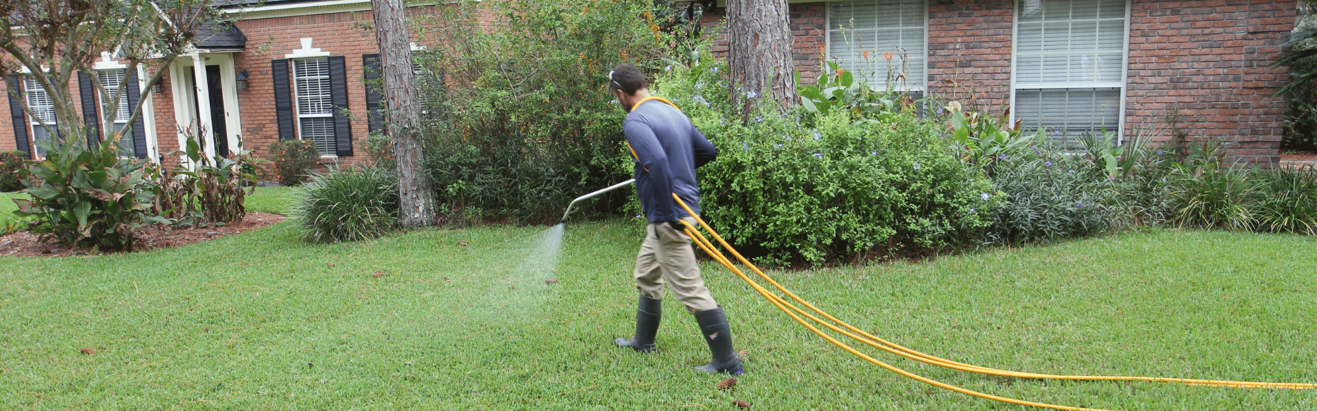 Fungus Control and Treatment for Florida Lawns - Turner Pest Control