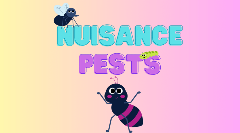 Springing Into Summer: Common Nuisance Pests This Time of Year - Turner ...