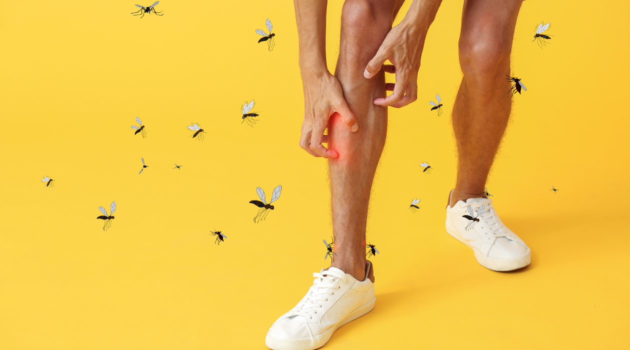 What Is the Most Effective Mosquito Control? - Turner Pest Control