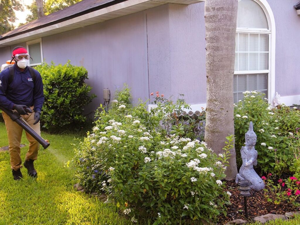 Is Paying for Pest Control in Port St. Lucie Worth the Cost? (A: Yes)