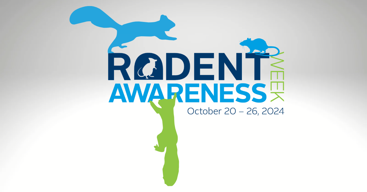 Rats & Mice in Focus: This is Rodent Awareness Week - Turner Pest Control