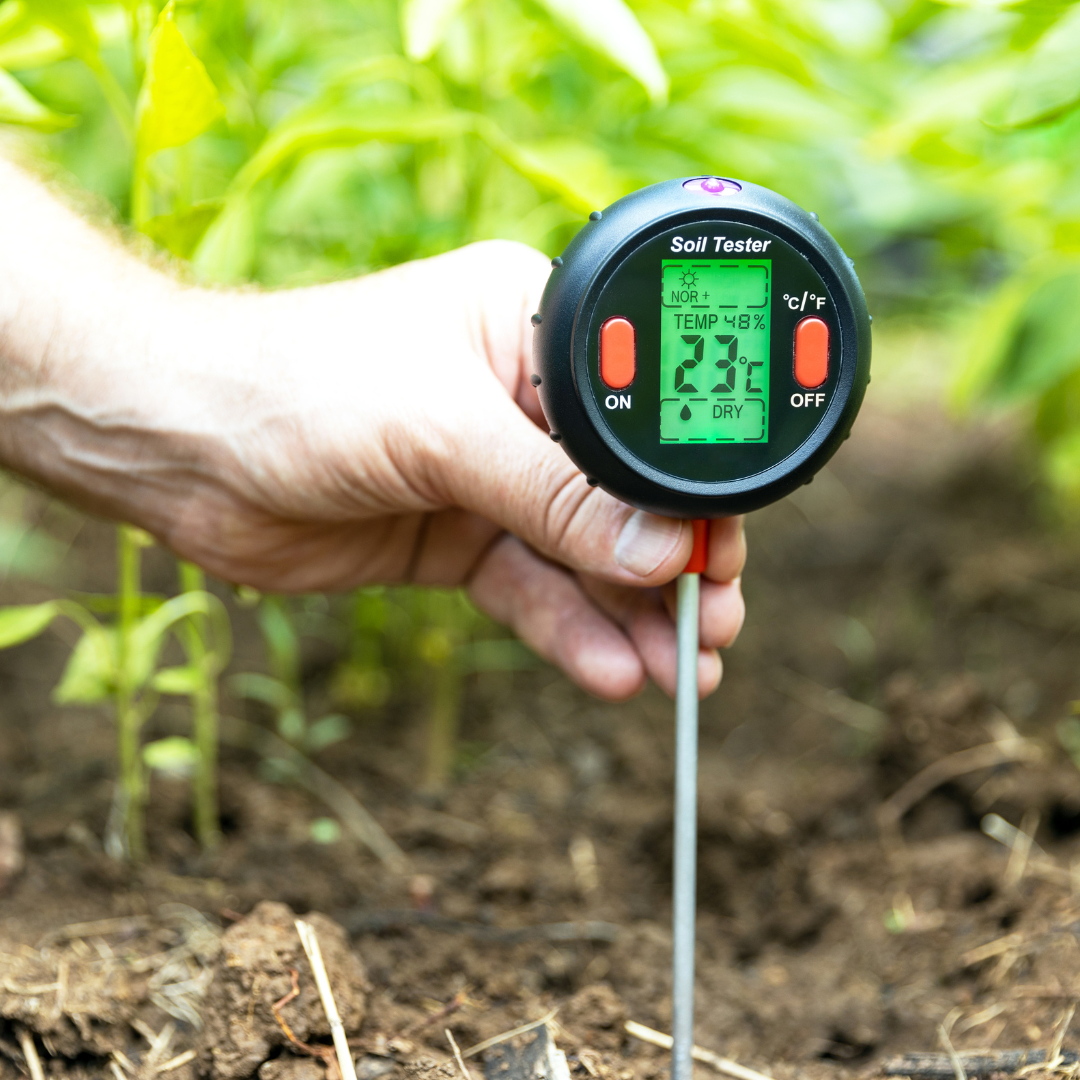 Lawn Aeration & pH Testing for Healthy Grass & Lawn Pest Control